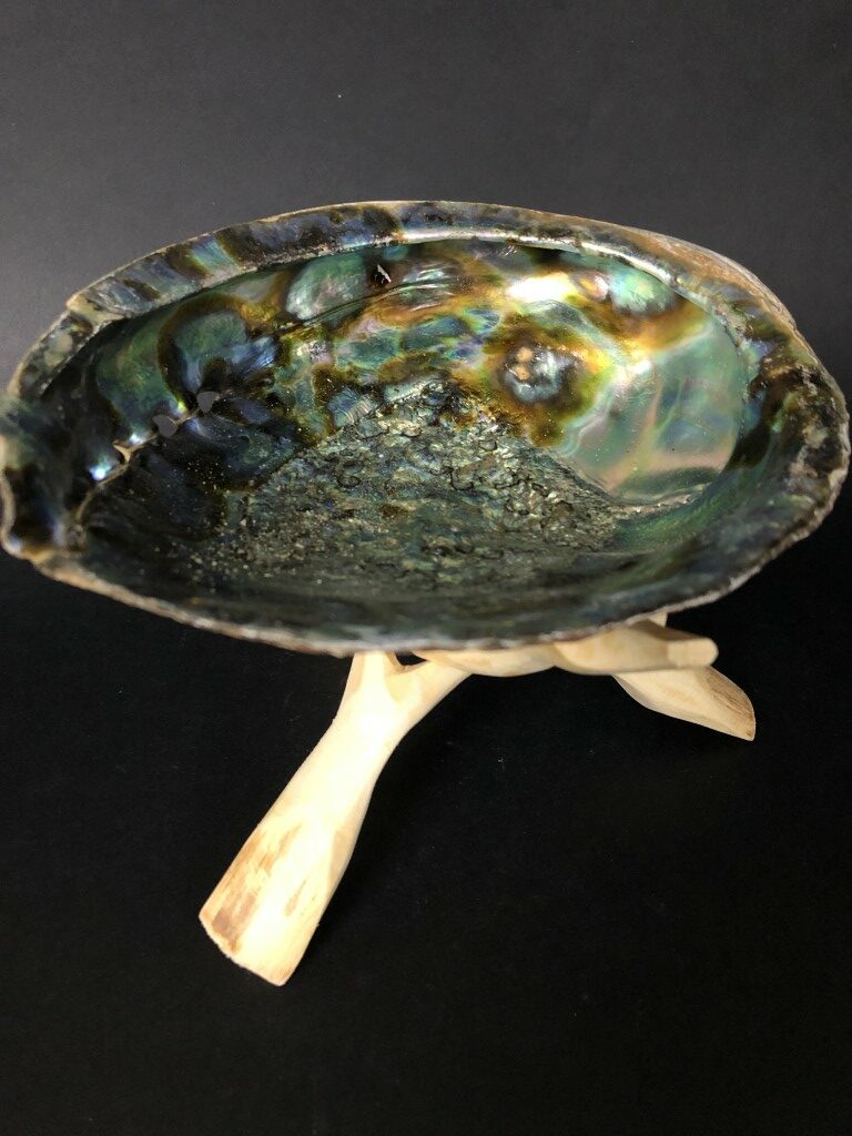 Abalone Shell Jumbo 7″-8″ - Hozho Healing